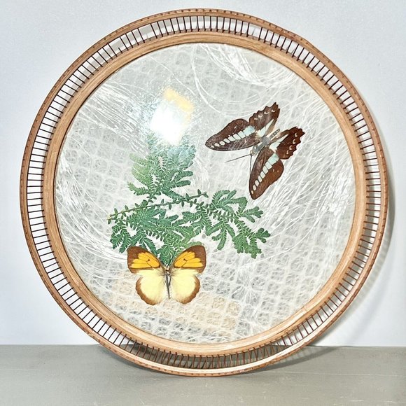 Unbranded | Accents | Vintage 7s Hand Craft Butterfly Pressed Flower ...